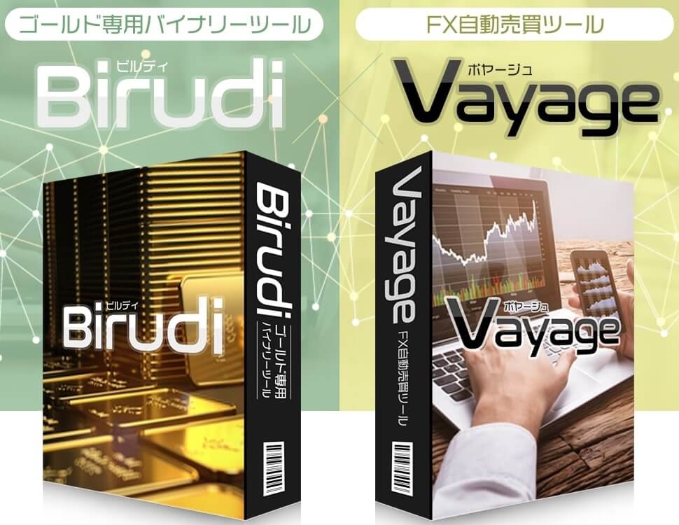 完全放置型ETH Birudi(ビルディ)VAYAGE(ボヤージュ)投資ツールは稼げるのか？株式会社バリューイレブン - 副業・情報商材の本物を求めて